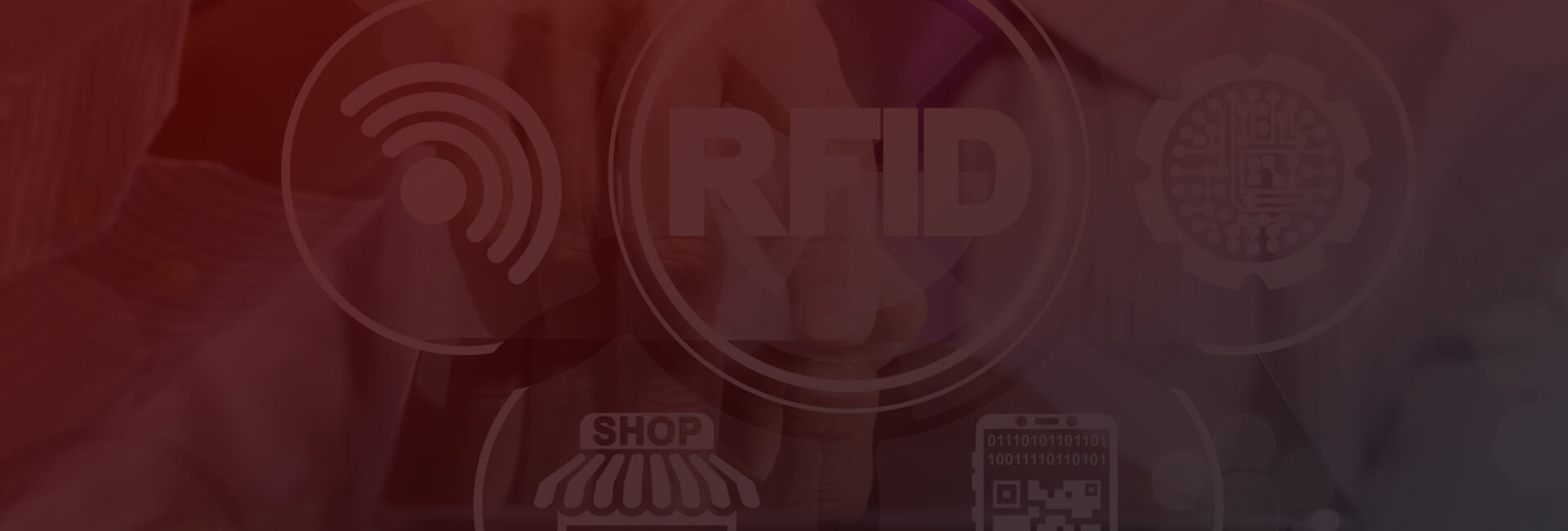 About Us | Acube Infotech LLC